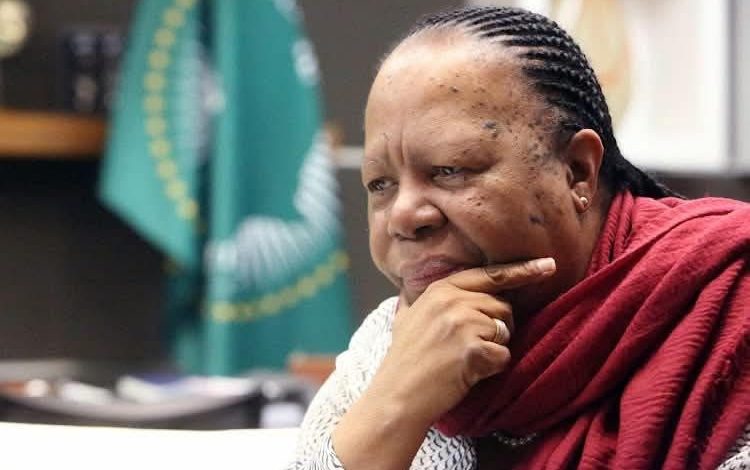 Naledi Pandor questions sudden revocation of her US Visa - The Informer